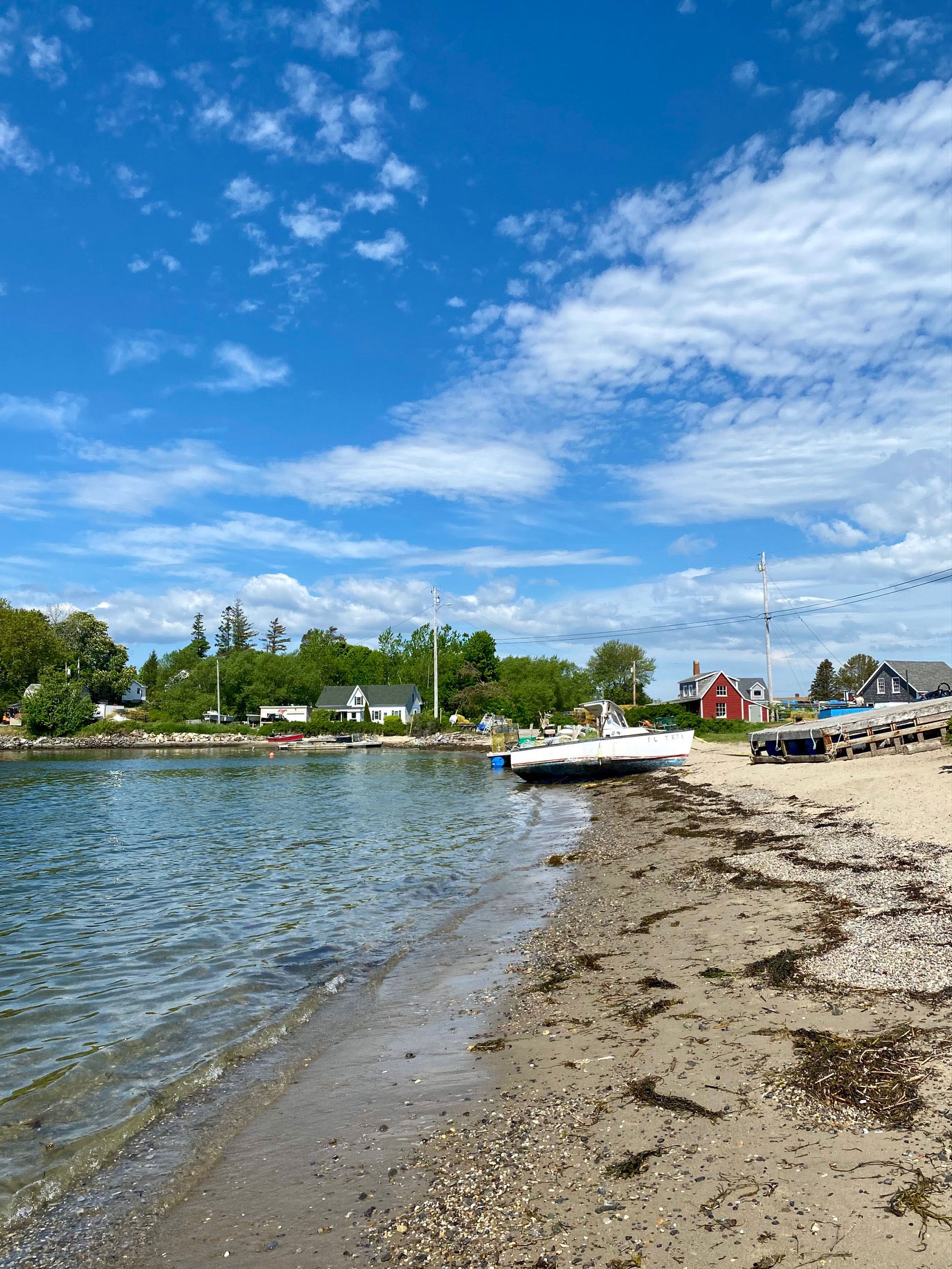 Johnson Field Preserve at Mackerel Cove - Harpswell Heritage Land Trust