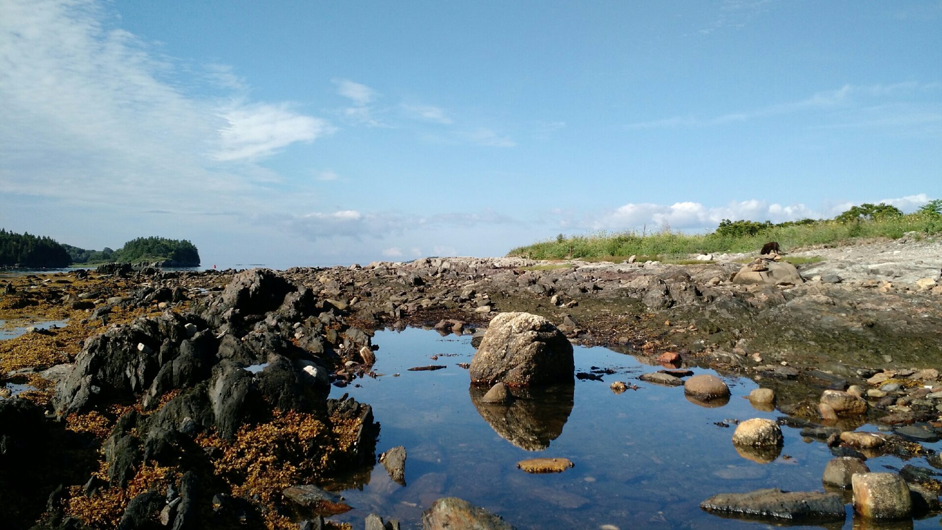 Home - Harpswell Heritage Land Trust
