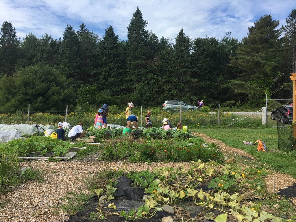 Mitchell Field - Harpswell Heritage Land Trust