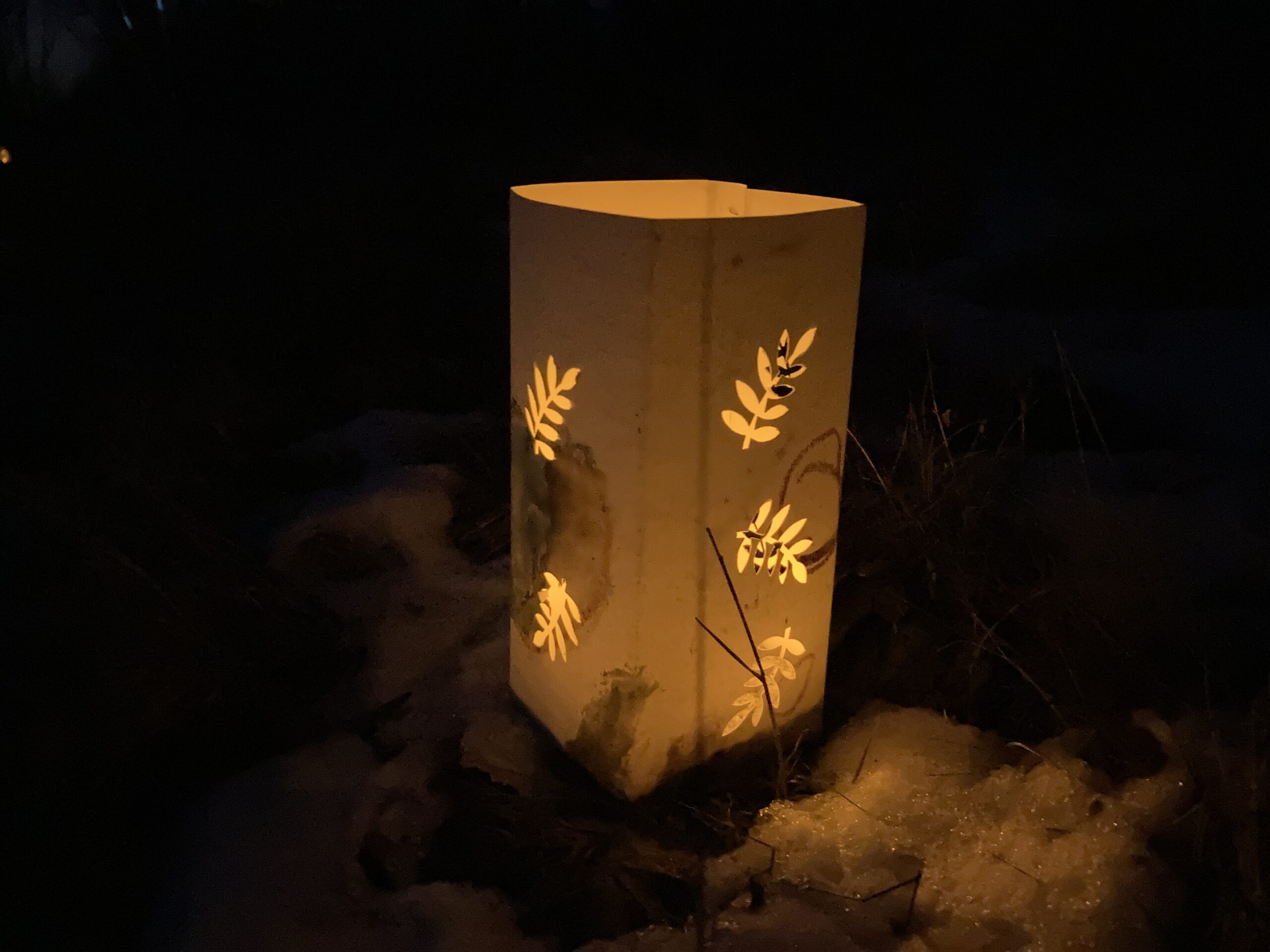 Ideas for Celebrating the Winter Solstice - Harpswell Heritage Land Trust